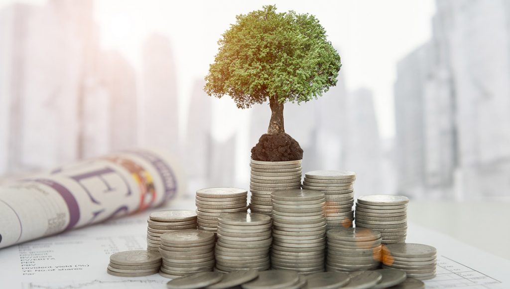 Growing Green Finance in India: A Review of Green Bond Principles ...